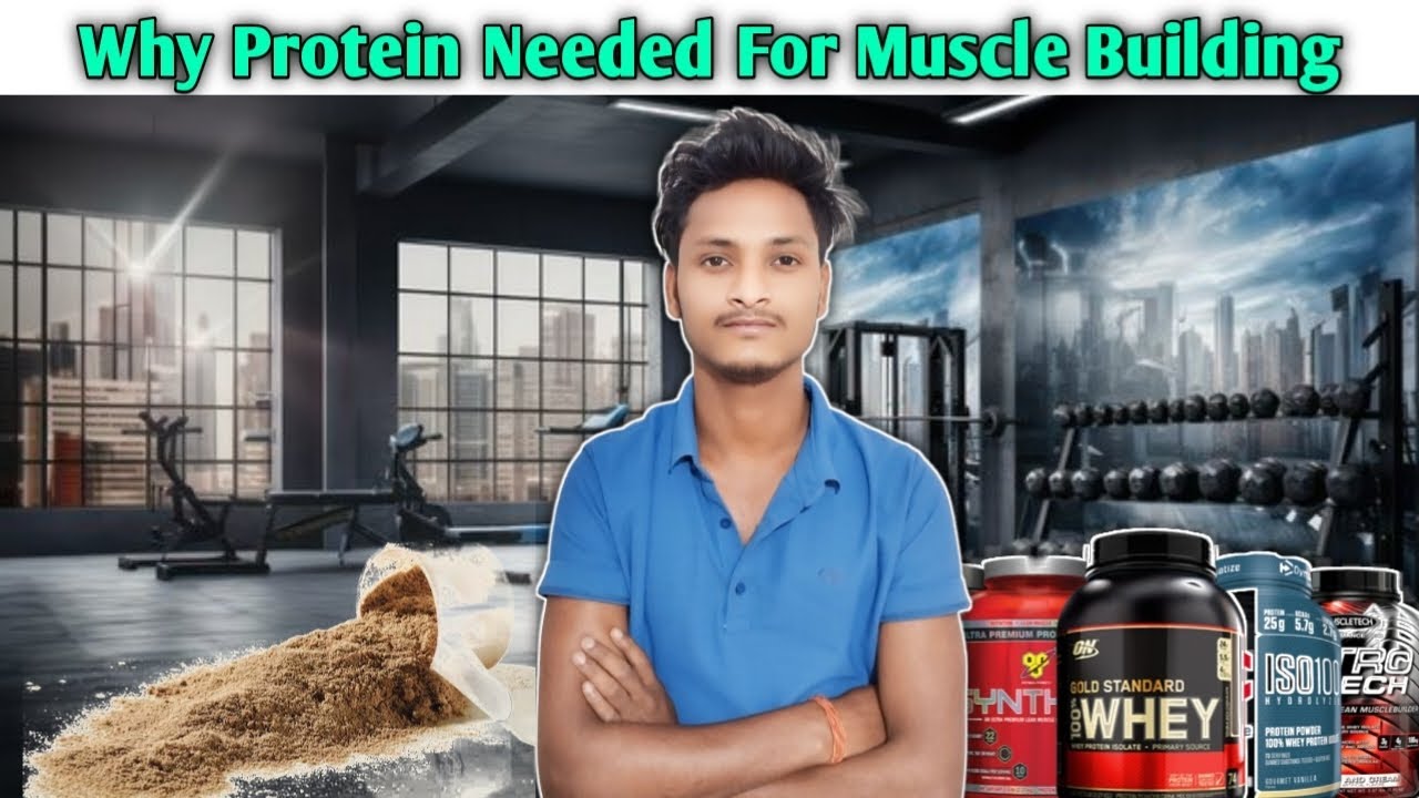 Why Protein is CRUCIAL for Building Muscle! | Muscle Growth Explained ...
