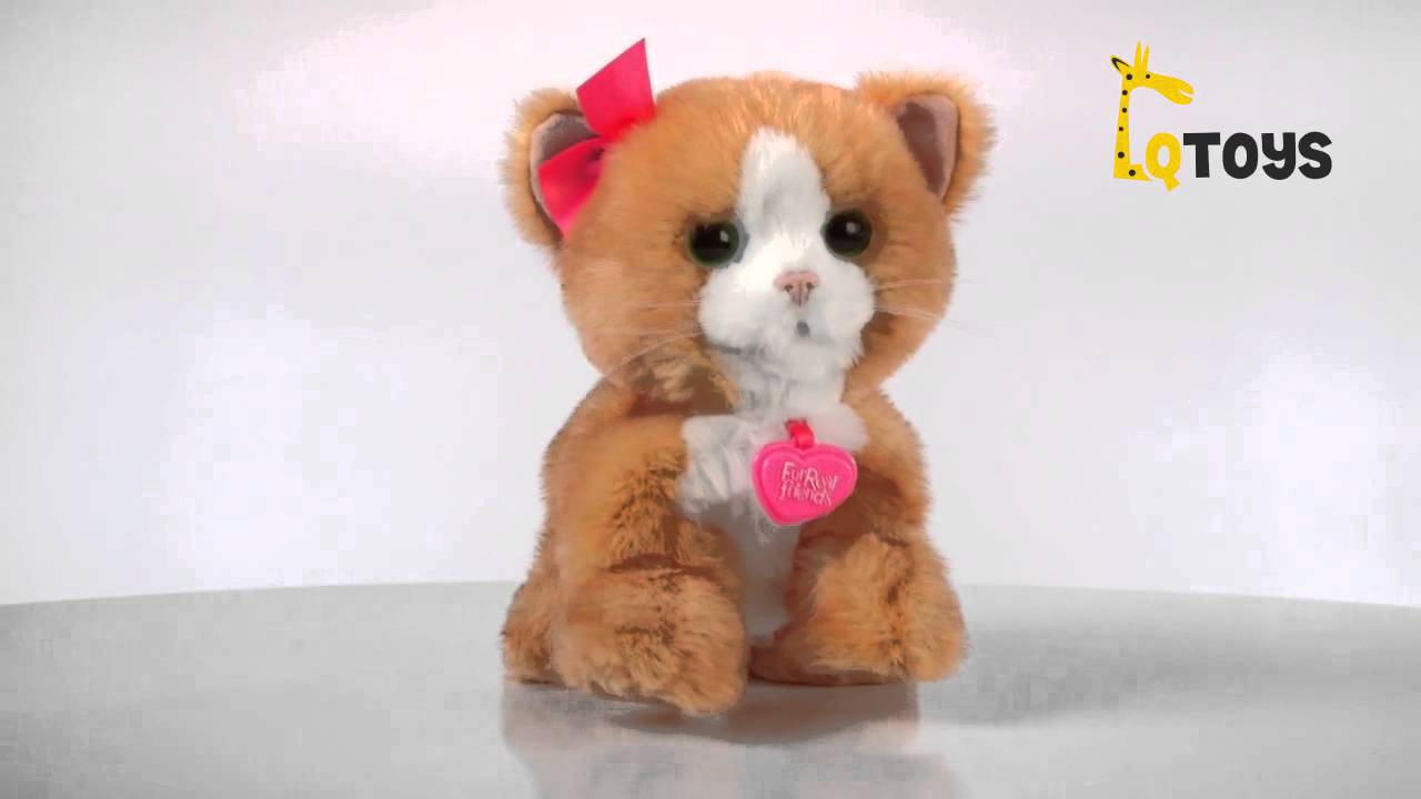 FurReal Friends Daisy - YouTube