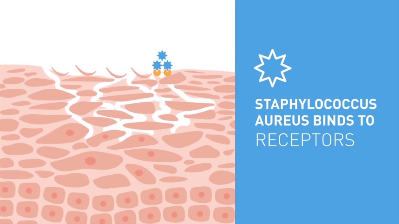 How BIODERMA’s Atoderm range treats atopic skin - YouTube
