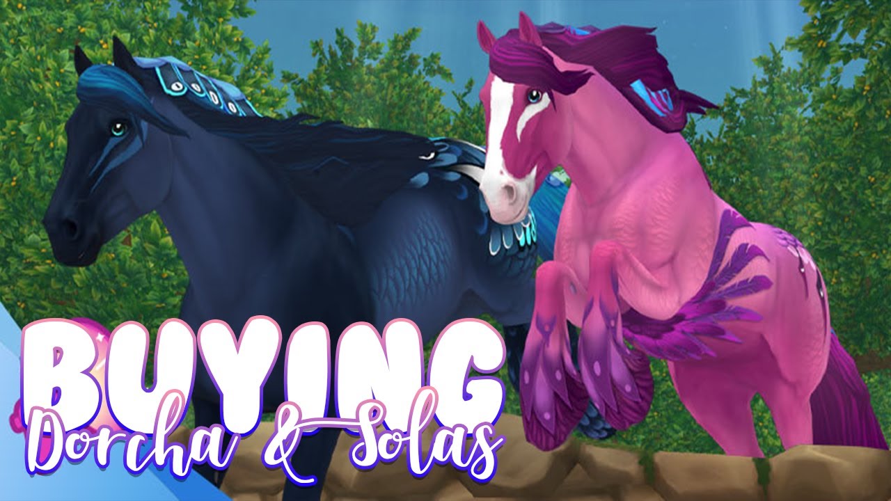 Buying Dorcha & Solas! + The New Pets! | Star Stable Online - YouTube