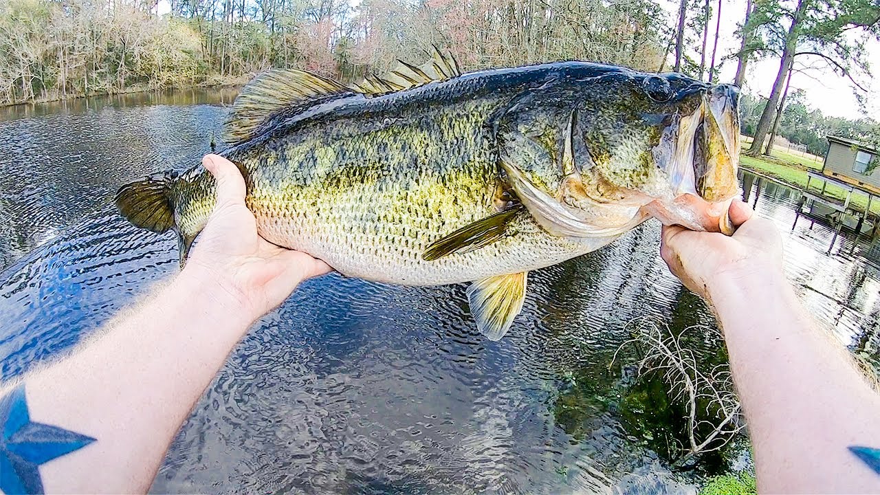 Catching DOUBLE DIGIT PB Bass w/ HUGE Lures! - YouTube