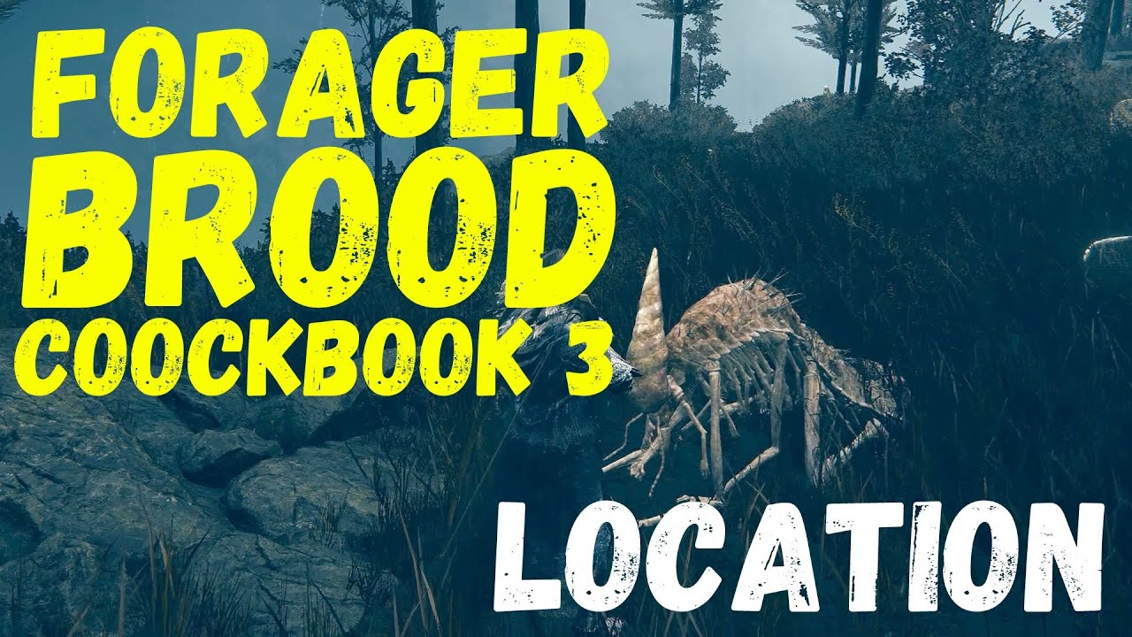 Where to find the Forager Brood Cookbook 3 in Elden Ring - YouTube
