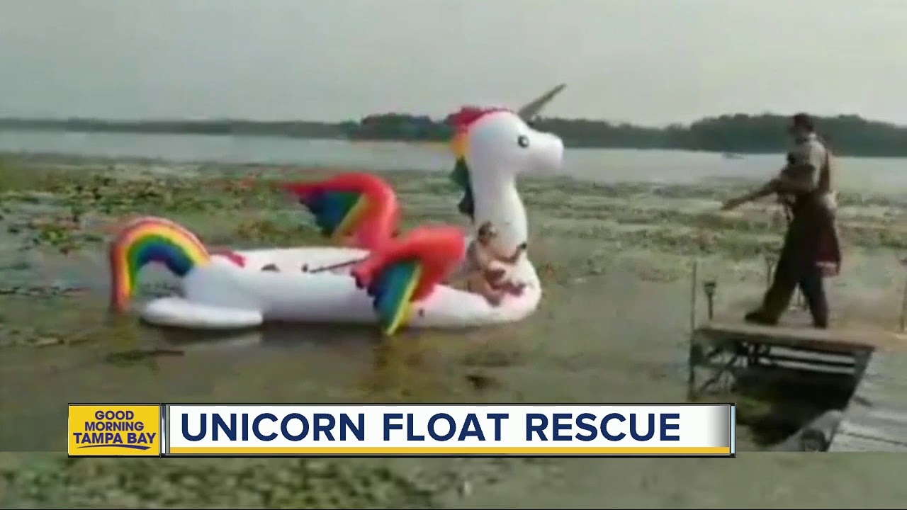 Deputies rescue women stranded on unicorn raft - YouTube