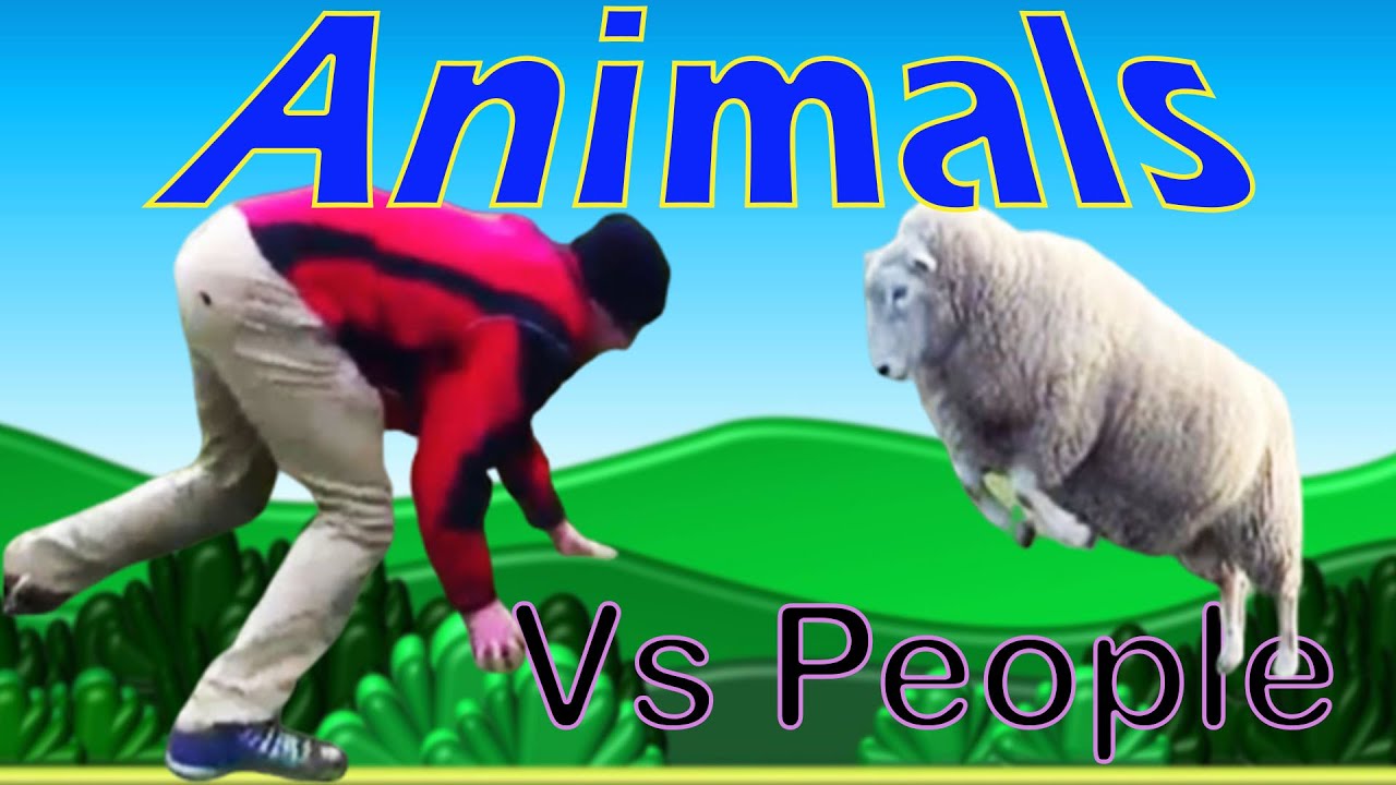 Funny Animals, Animals Attacking People Compilation - YouTube
