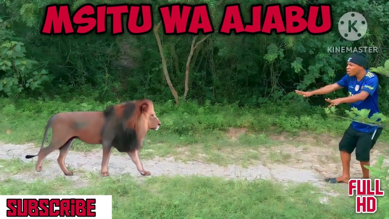 msitu wa ajabu. magic Forrest - YouTube