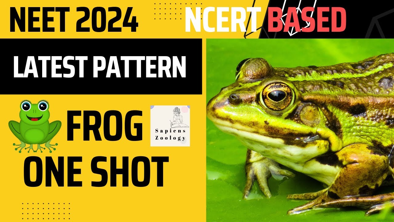 Complete Frog - One Shot | Latest NMC Pattern | New NCERT Based | NEET ...