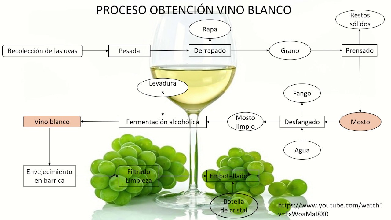 Proceso De Produccion Del Vino System Images