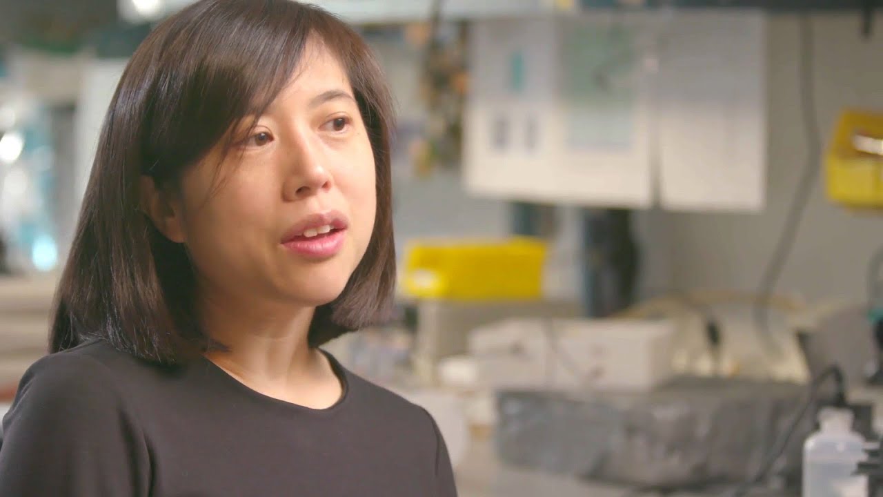 The "ReBlast" Study: Uncovering the effects of repeated blast exposure ...