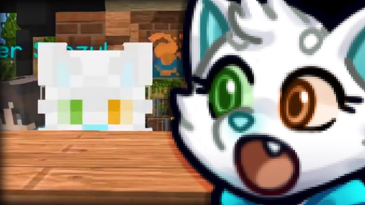Mysticat has a secret message for you - YouTube