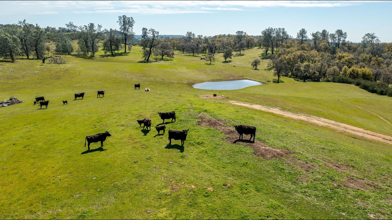 Morgan Ranch Amador County - YouTube