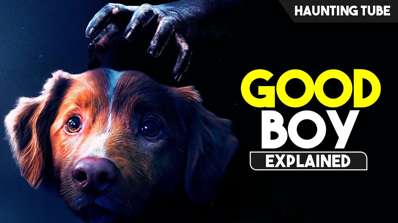 Most UNIQUE Horror Movie from Dog's Perspective - Good Boy Explained in ...