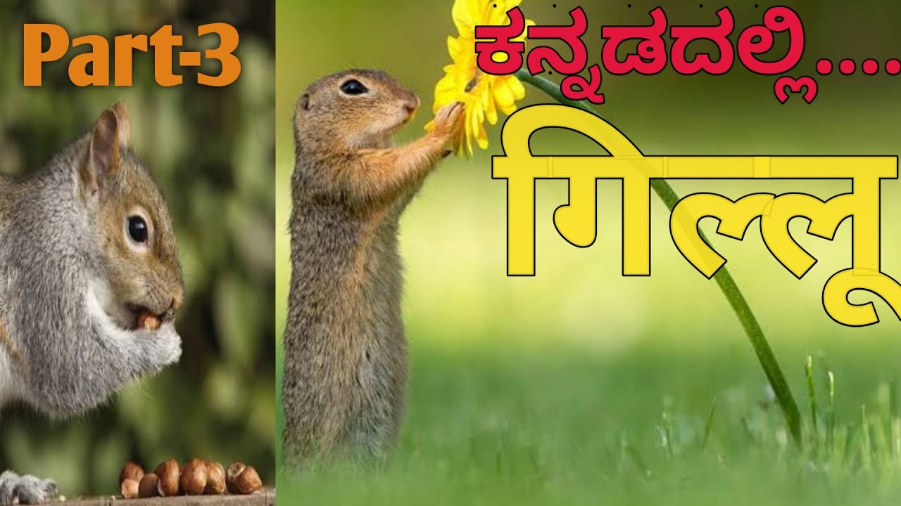 Gillu 10th Hindi Lesson Tenth Standard 3rd Lesson Explained Gillu gillu-10th-hindi-lesson-tenth-standard-3rd-lesson-explained-gillu