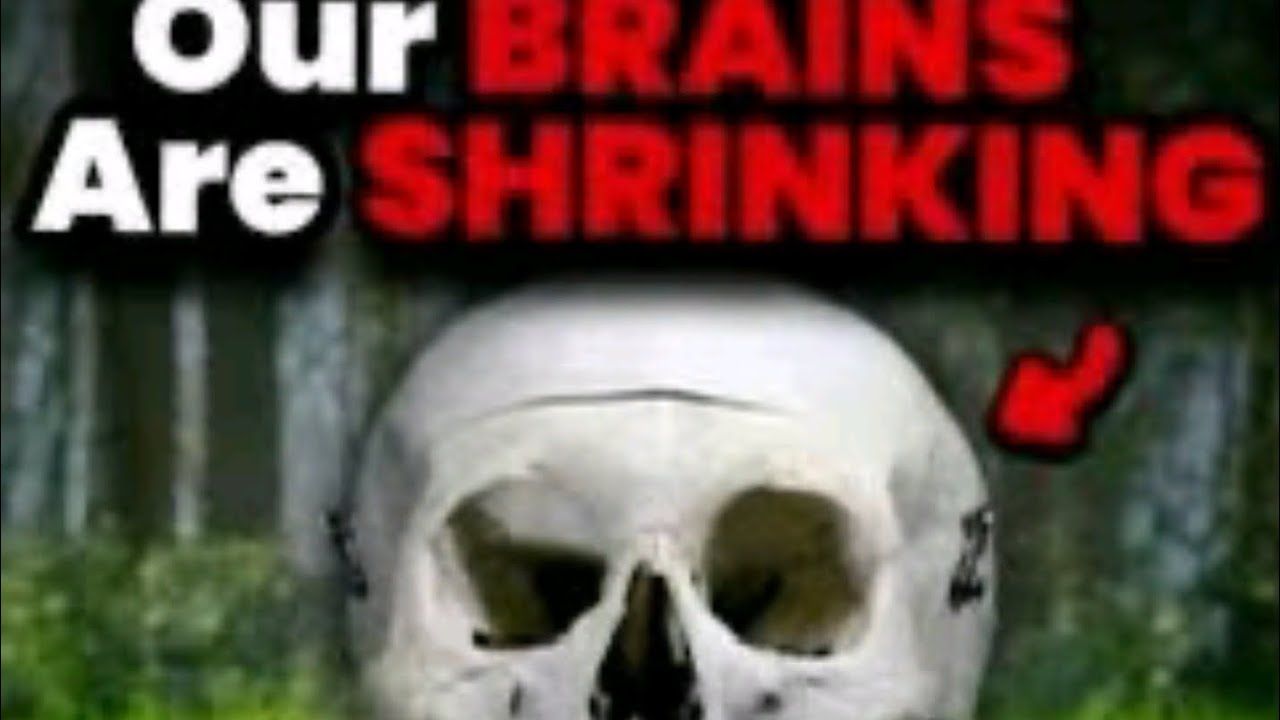 Epic sigma unboxes quest 2 - YouTube