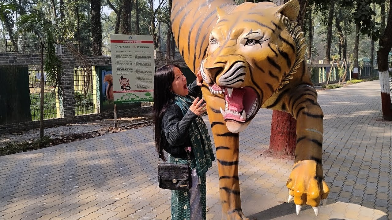 22january ko meh neh kya kya kiya#minivlog #youtubeshorts #adayinmylife ...