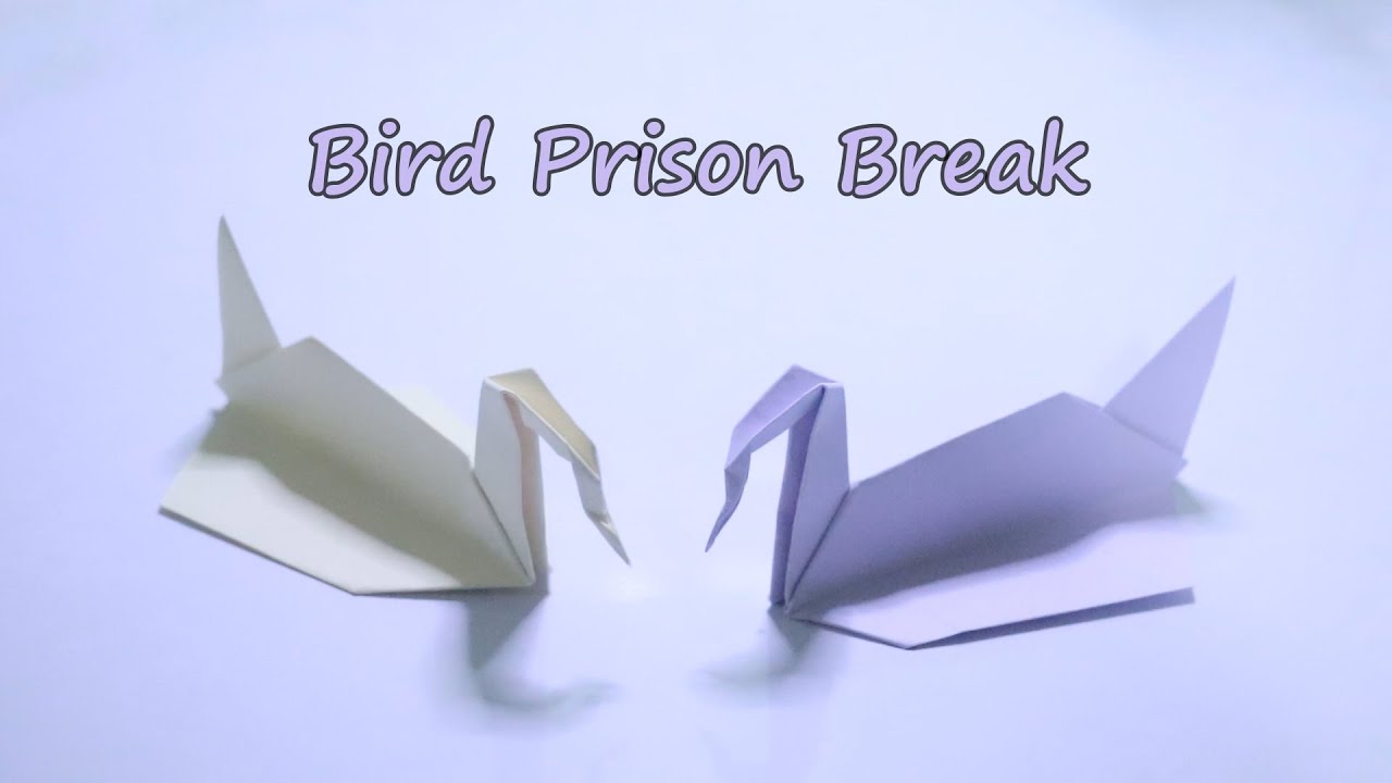 How To Make An Origami Swan Like In Prison Break How To Make A Paper