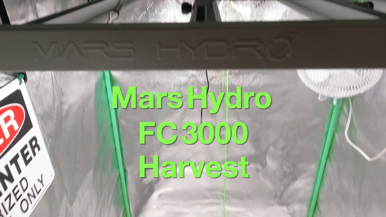 Mars Hydro FC 3000 Harvest in 3'x3' - YouTube