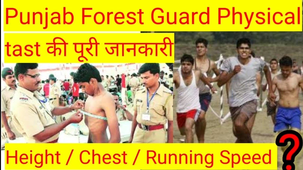 Punjab Forest Guard Physical tast की पूरी जानकारी| PSSB Forest Guard ...