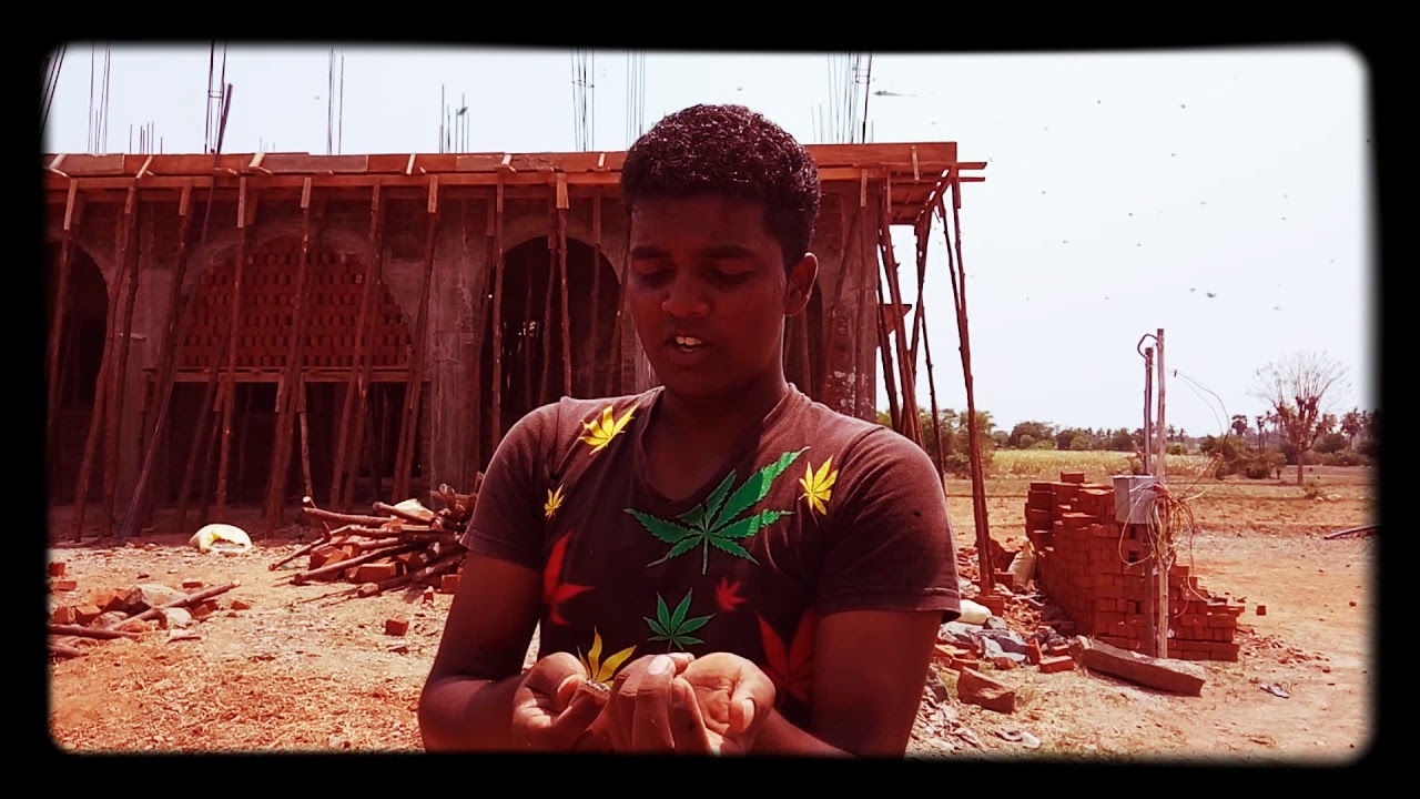 Manuli Pambu. Second Friend of Farmers - உணவு சஙகிலி (Eco System ...