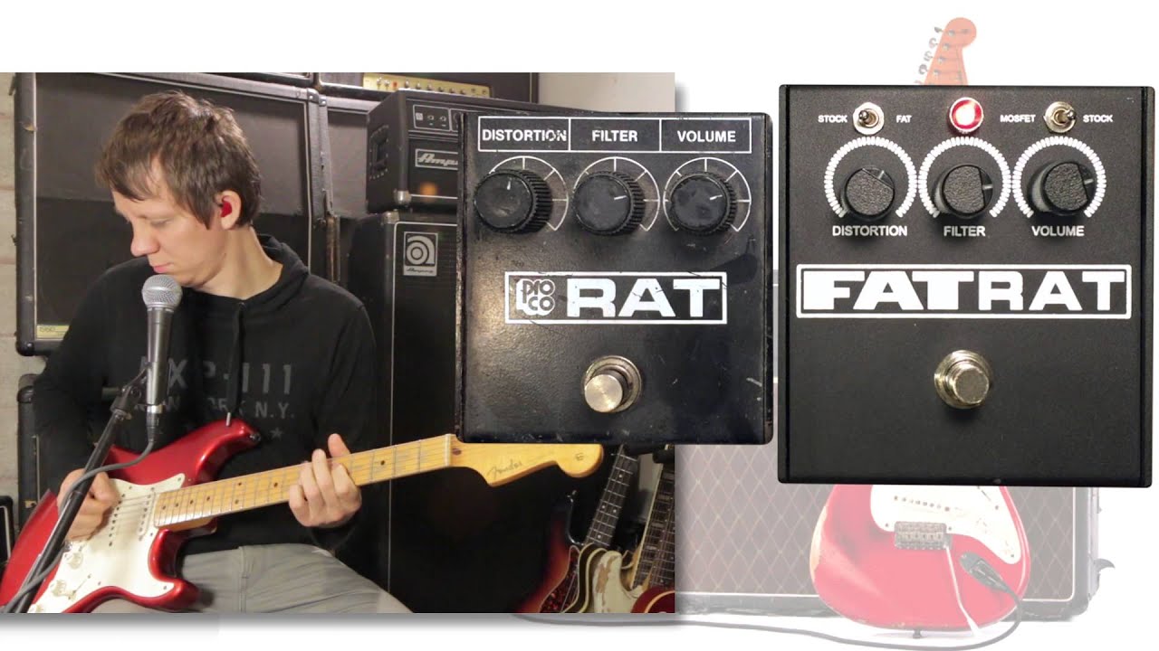 1986 Pro Co RAT vs FAT RAT Сравнение на Русском - YouTube