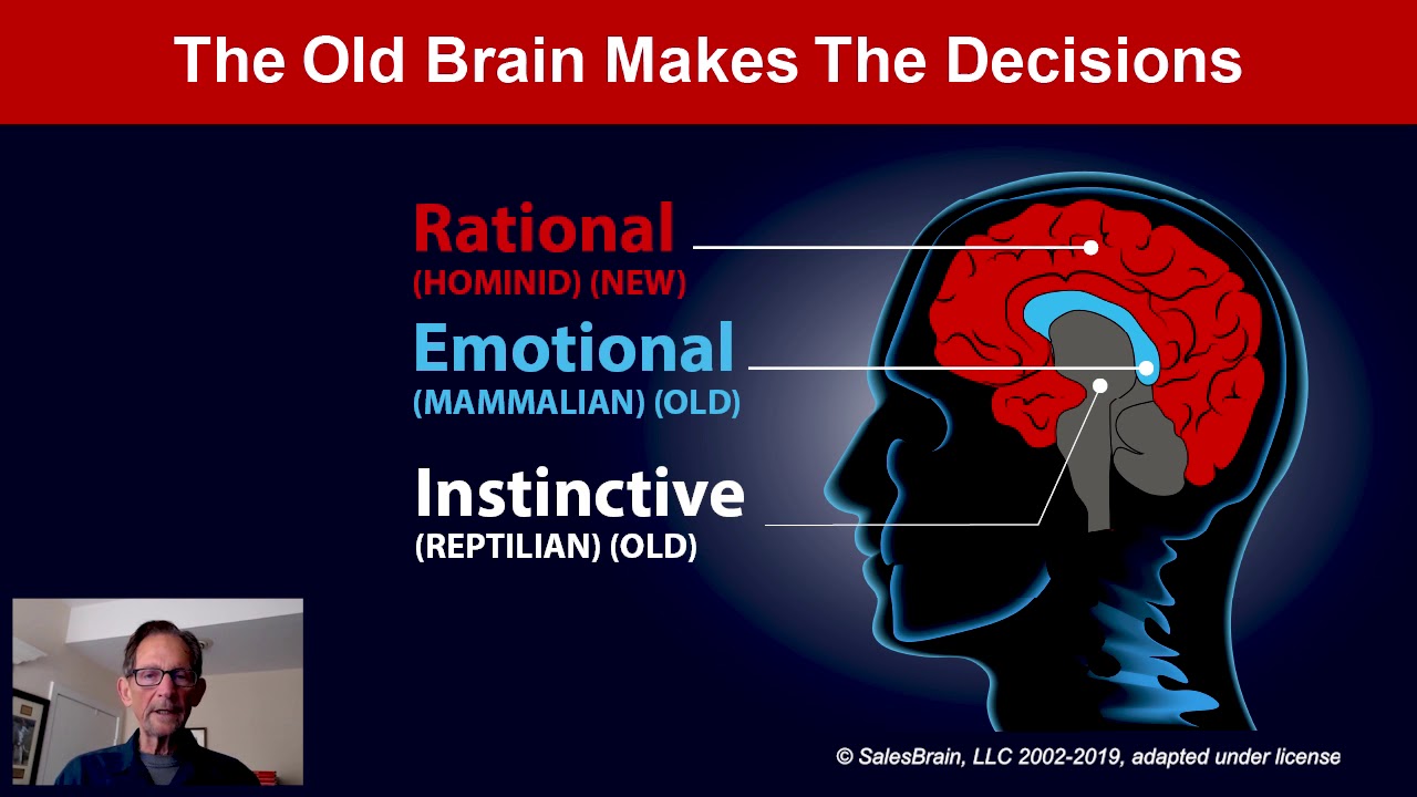 The Old Brain Makes the Decisions - YouTube