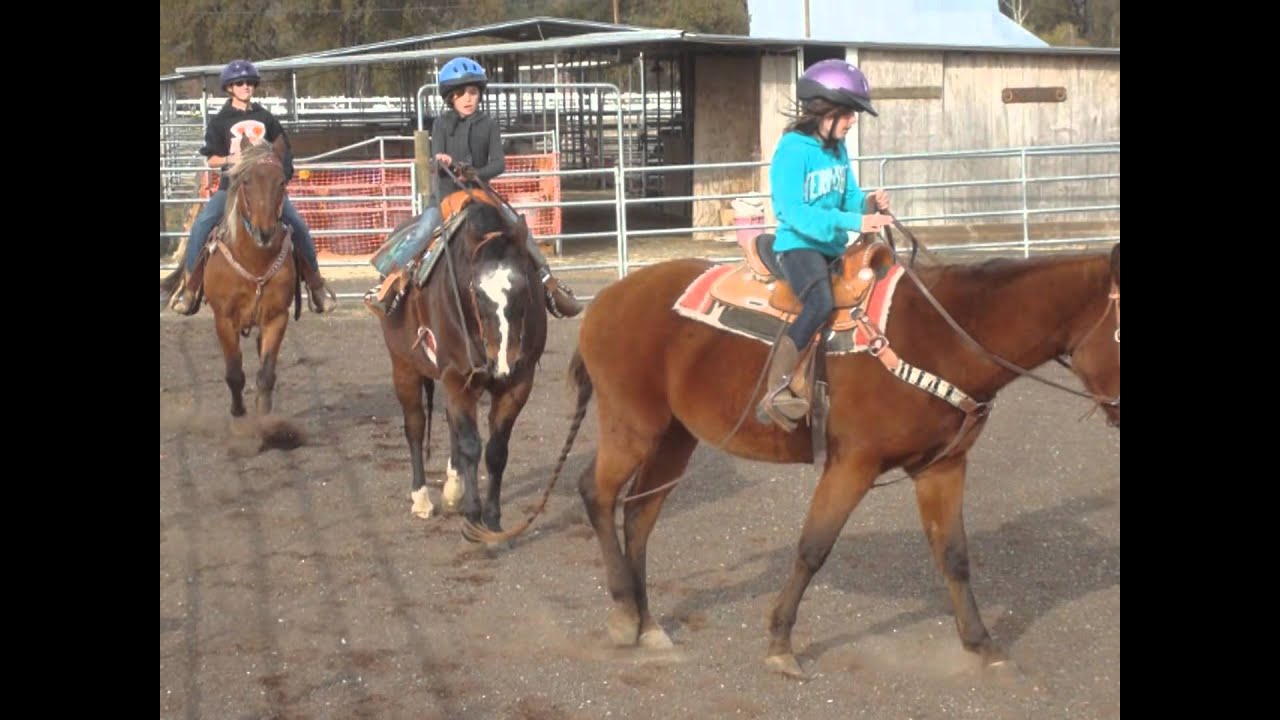 I've Just Gotta Be a Cowgirl Gaddy Shack Ranch Thanksgiving Horse Camp ...