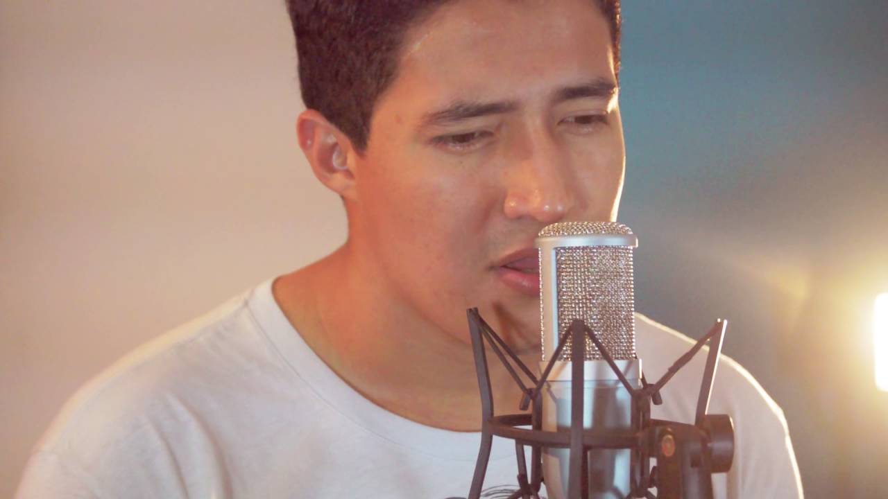 No puedo dejarte de amar - Me cansé de amarte - Te amaré / David ...