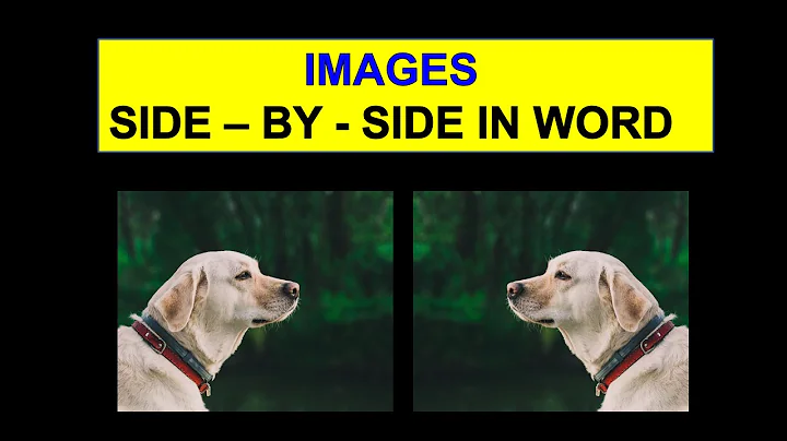Solved Two Pspictures Beside Each Other 9to5Science solved-two-pspictures-beside-each-other-9to5science