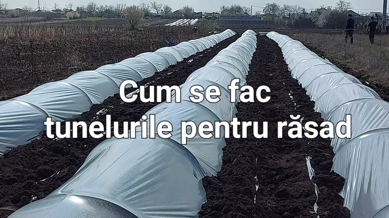 Cum se fac tunelurile pentru rasad la Pepiniera Draghiceni - YouTube
