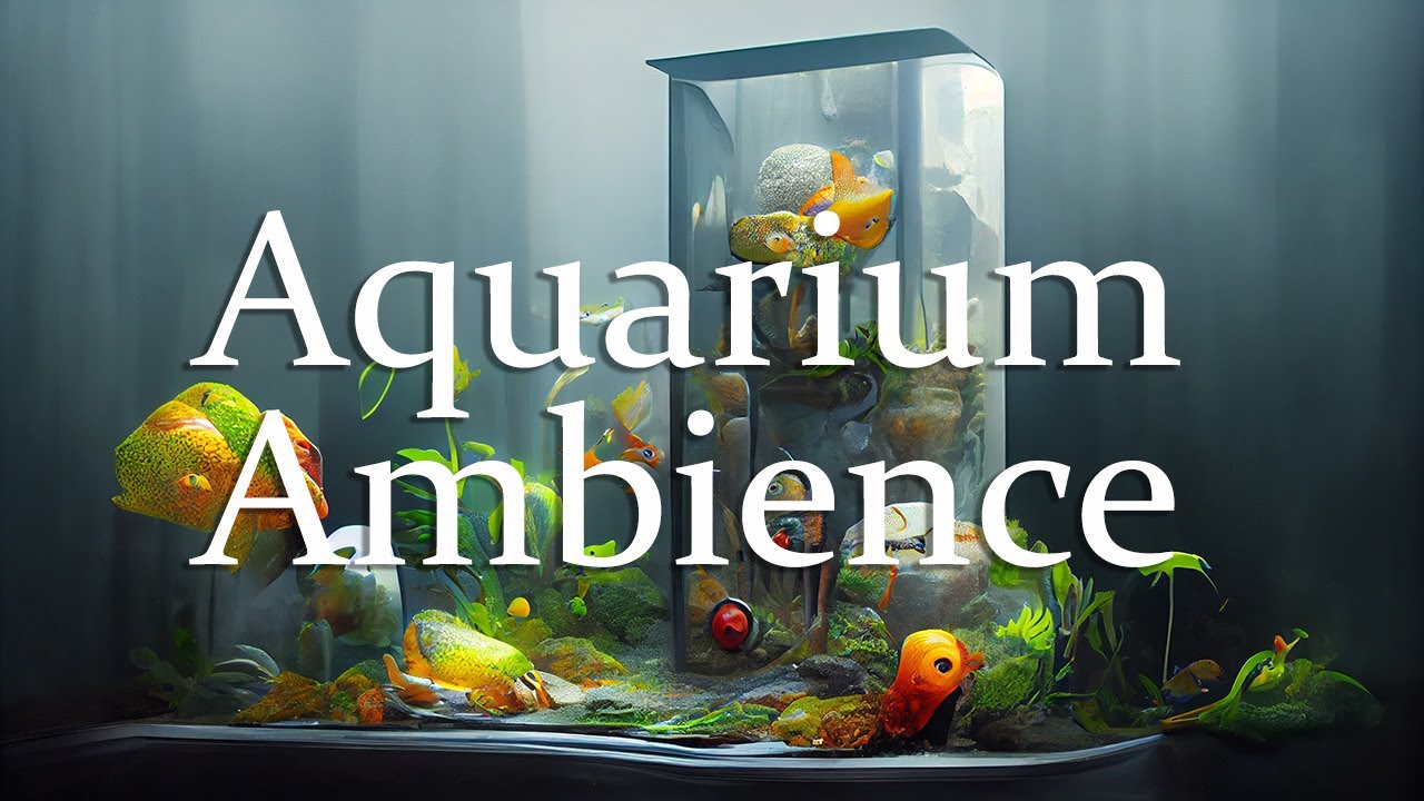 Relaxing Aquarium Ambience, Study, Sleep, Stress Relief, Water Sounds ...