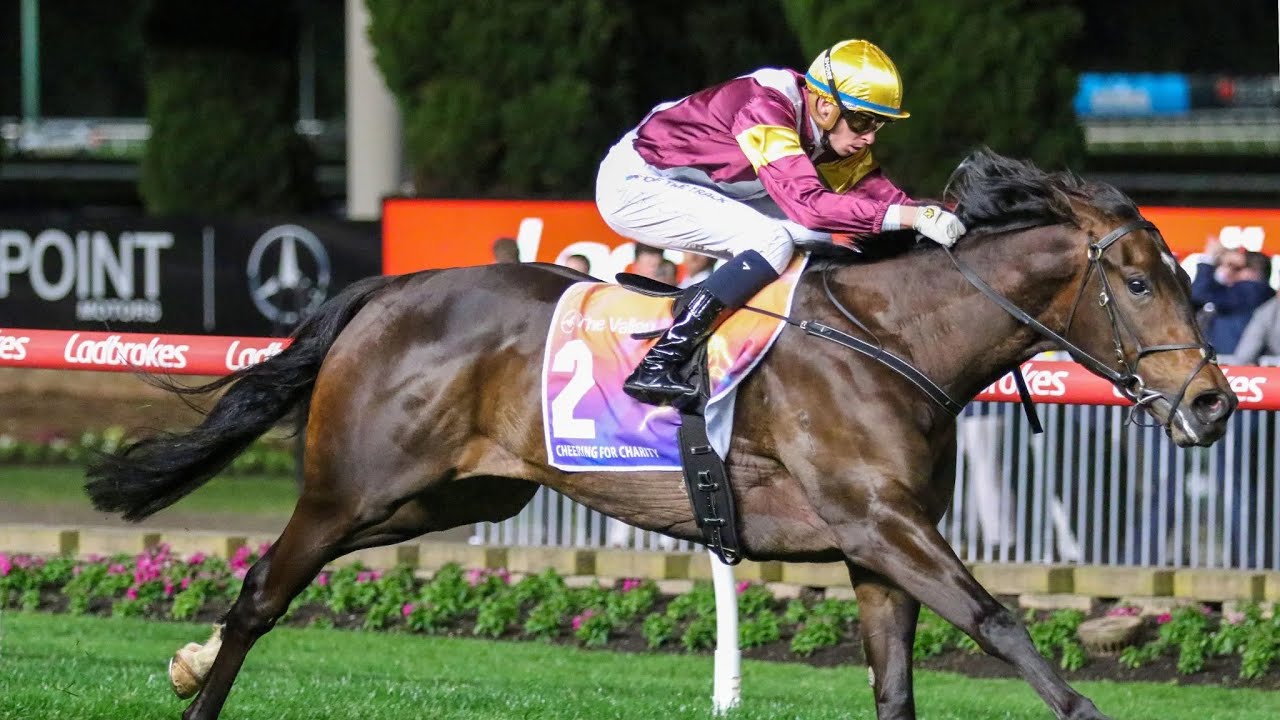 EVAPORATE wins the G2 Stutt Stakes - YouTube