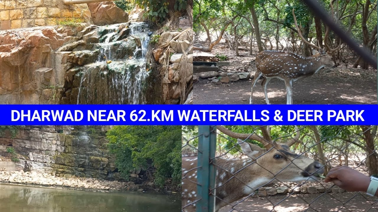 Near Dharwad 62.KM WaterFalls Deer Park one Day Trip Family & Friends ...