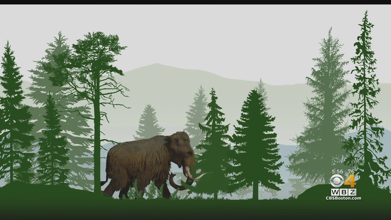 Texas company, Harvard scientist hope to combat climate change by ...