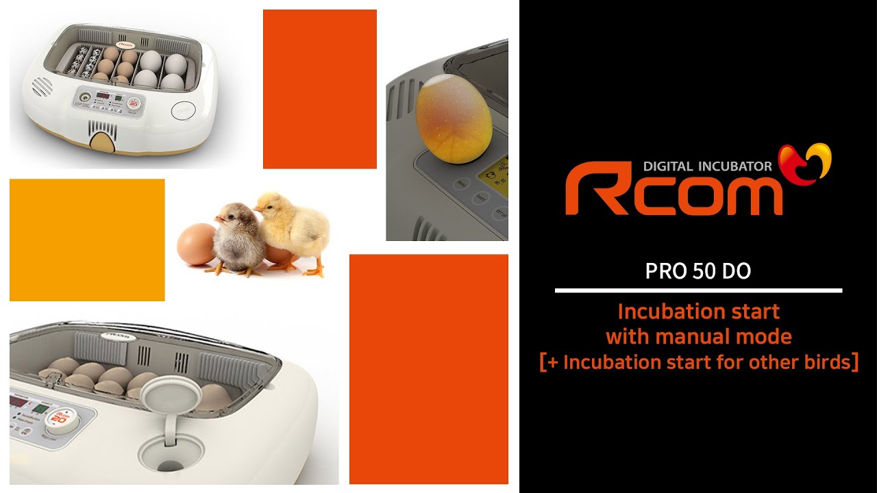 Rcom PRO 50 DO Incubator : Incubation start with manual mode ...