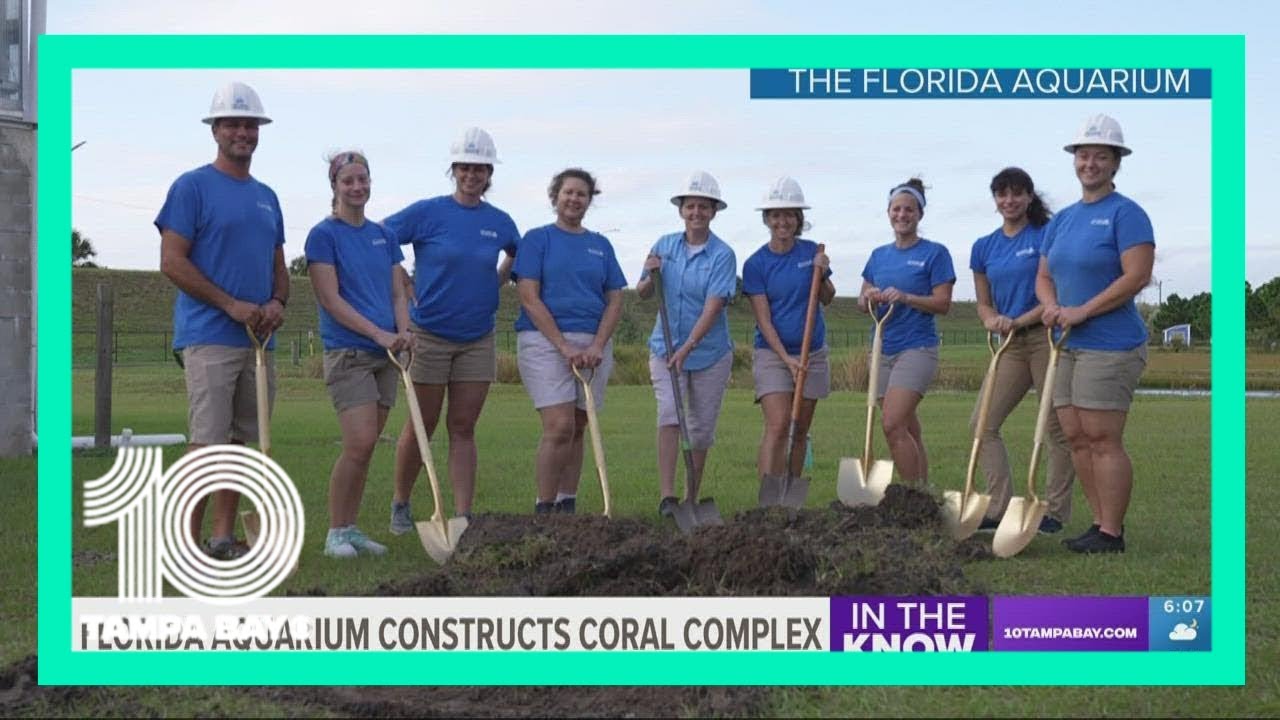 The Florida Aquarium breaks ground on new coral care complex - YouTube