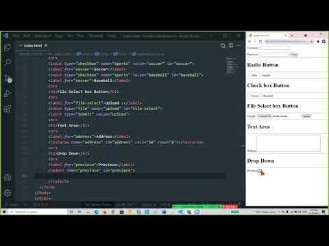 Form Tage in HTML - YouTube