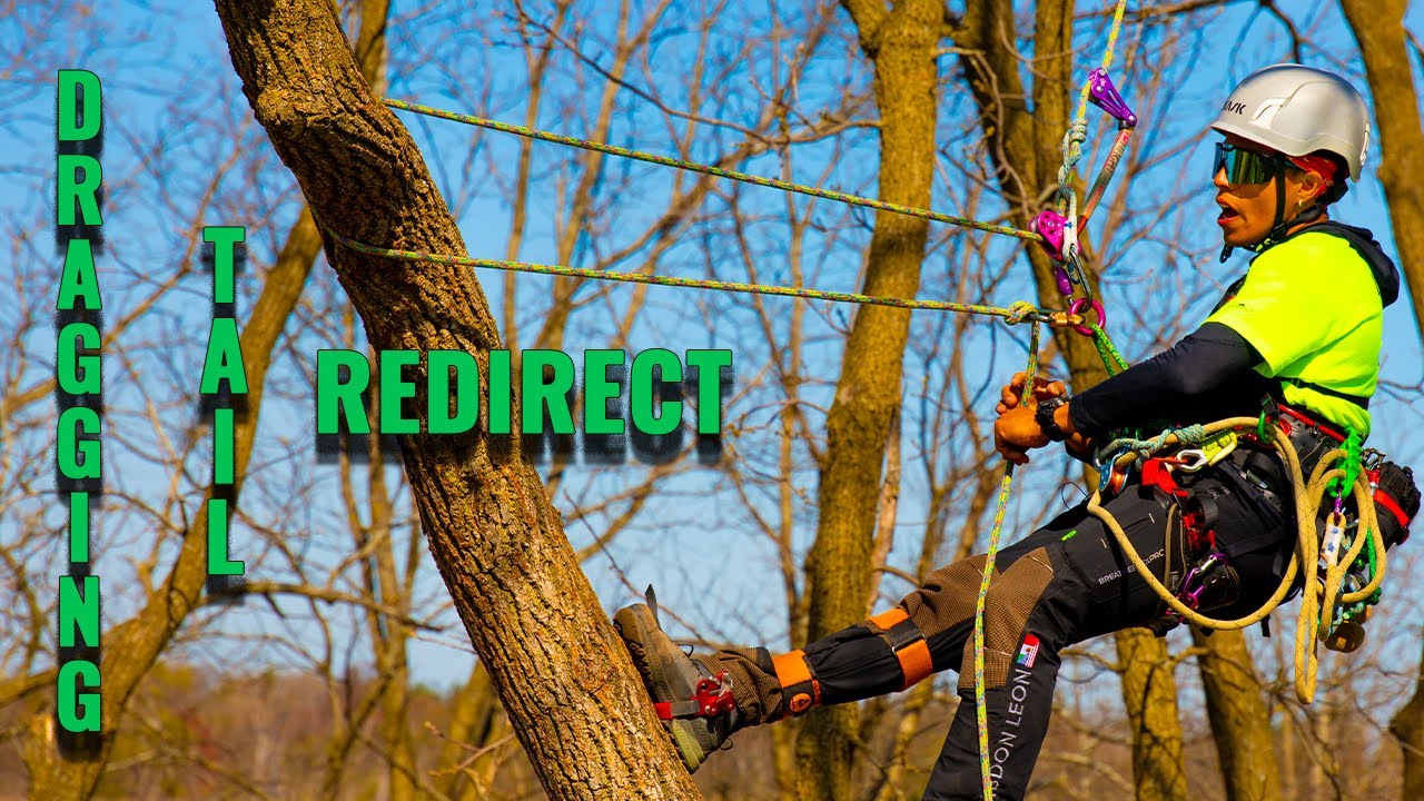Tree Climbing Tips: Dragging Tail Redirect - YouTube