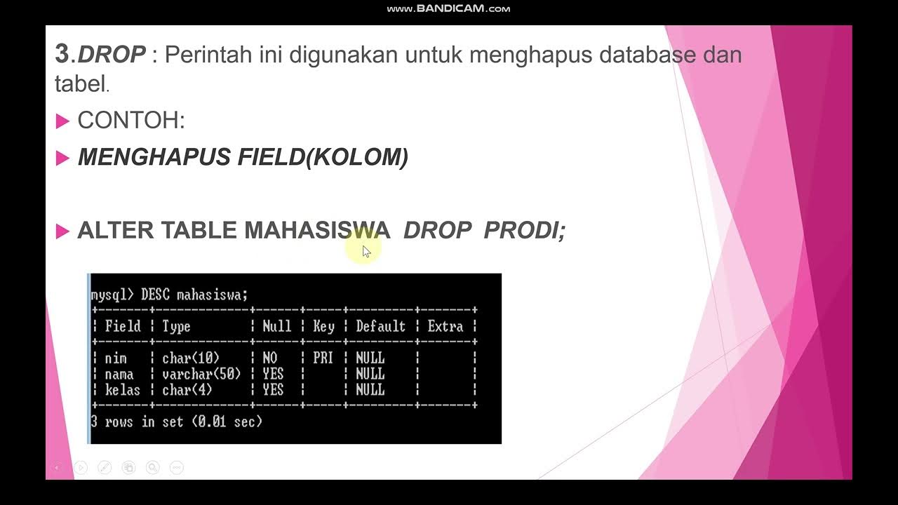 CONTOH PENGGUNAAN PERINTAH DDL DAN DML - YouTube