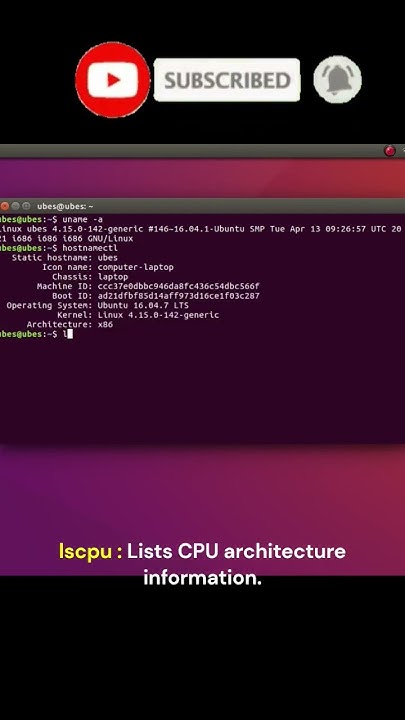 Ubuntu System Information Shorts Viral Trending Ubuntu Cheats Information Youtube