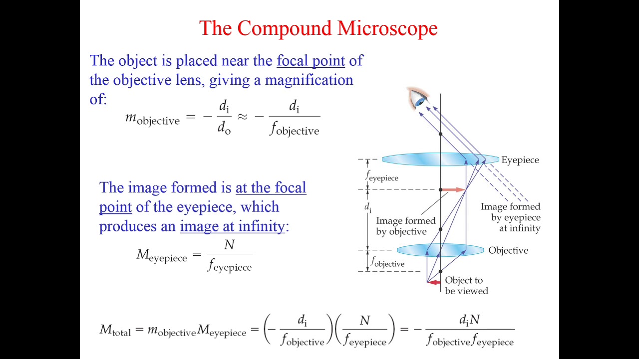 Physics 202: Compound Microscope - YouTube