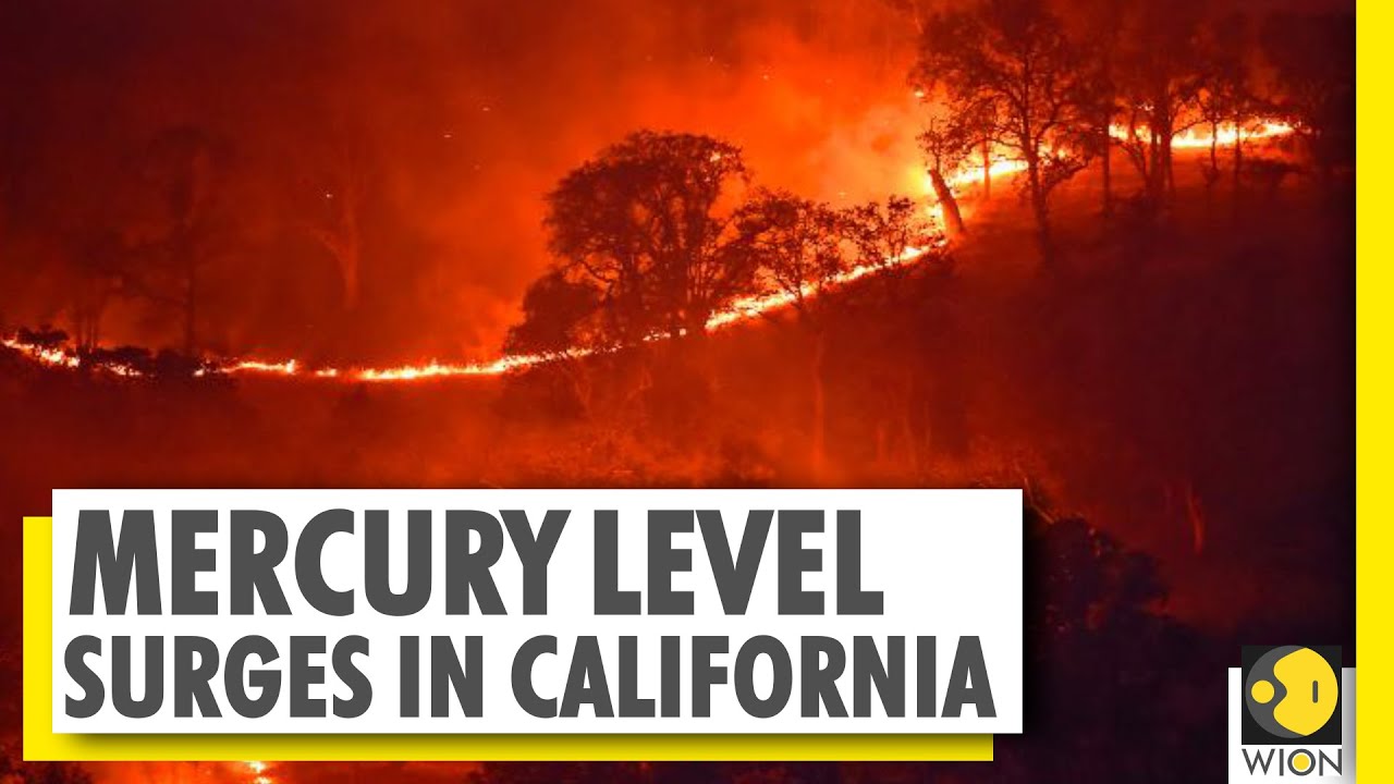 Wildlife rages across California | LNU lightning complex fire spreads ...