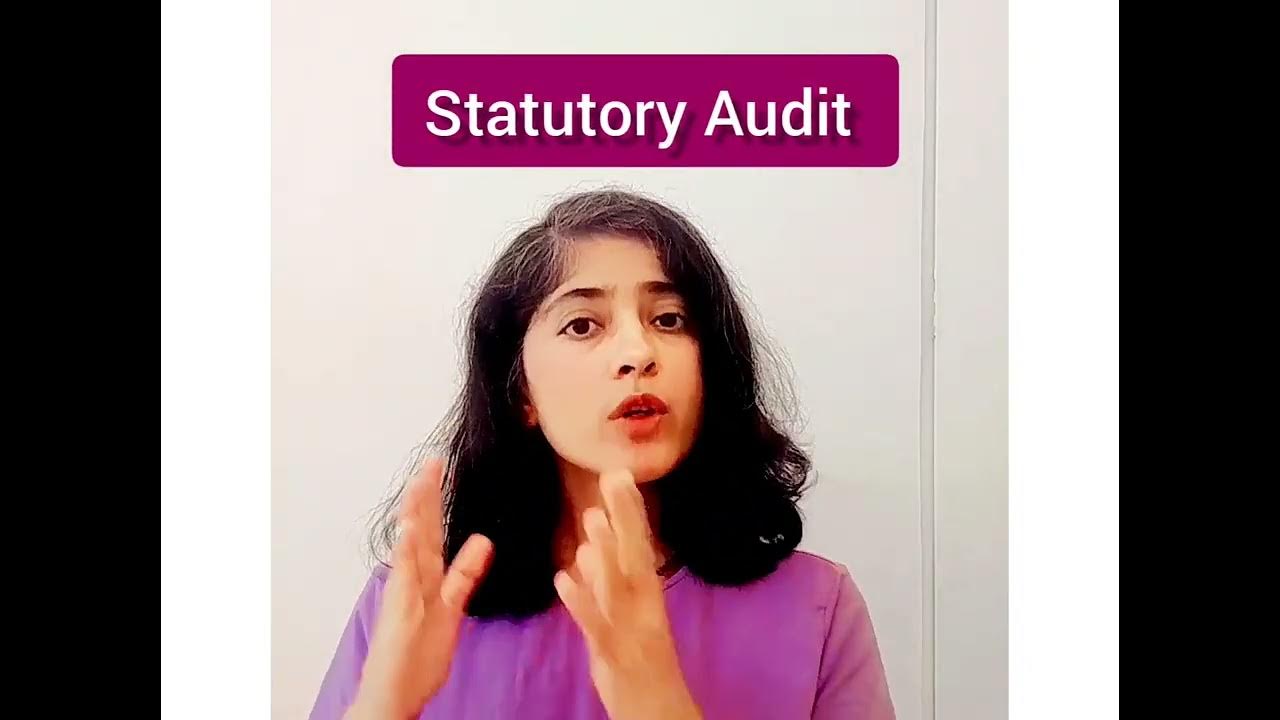What Is Audit Types Of Audit what-is-audit-types-of-audit