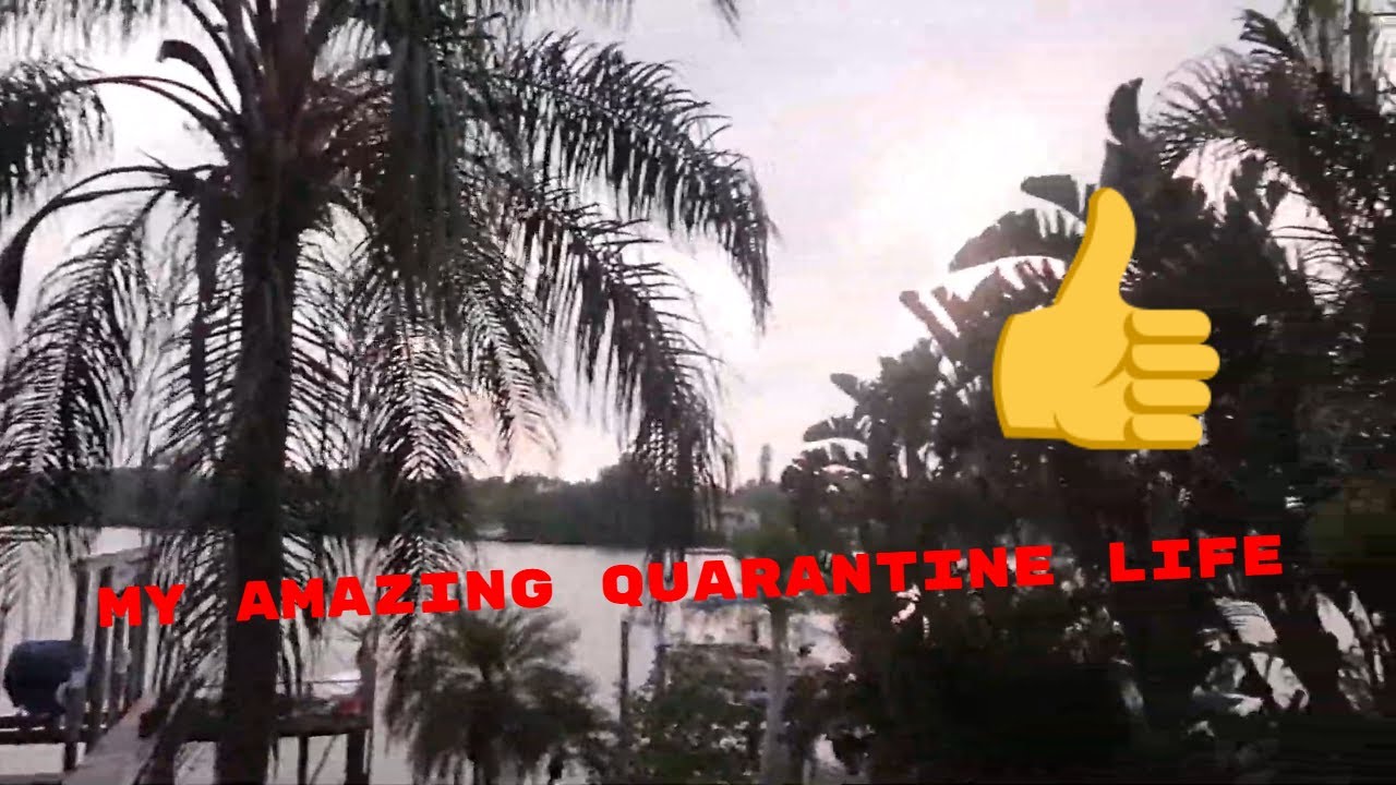 My AMAZING Quarantine Life | What I Like To Do Under Quarantine - YouTube