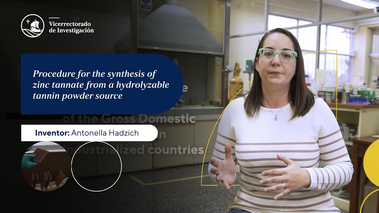 Procedure for the synthesis of zinc tannate from a hydrolyzable tannin ...