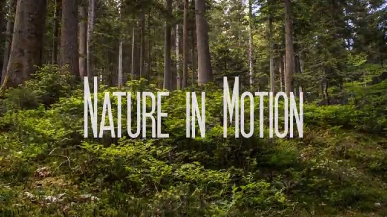 Nature in Motion [4K Ultra HD] - YouTube