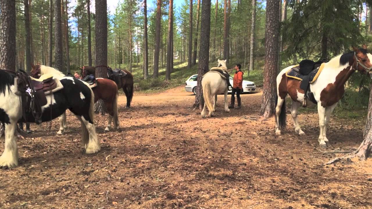 Horseback riding in Sweden on the Sun Dance Ranch - YouTube