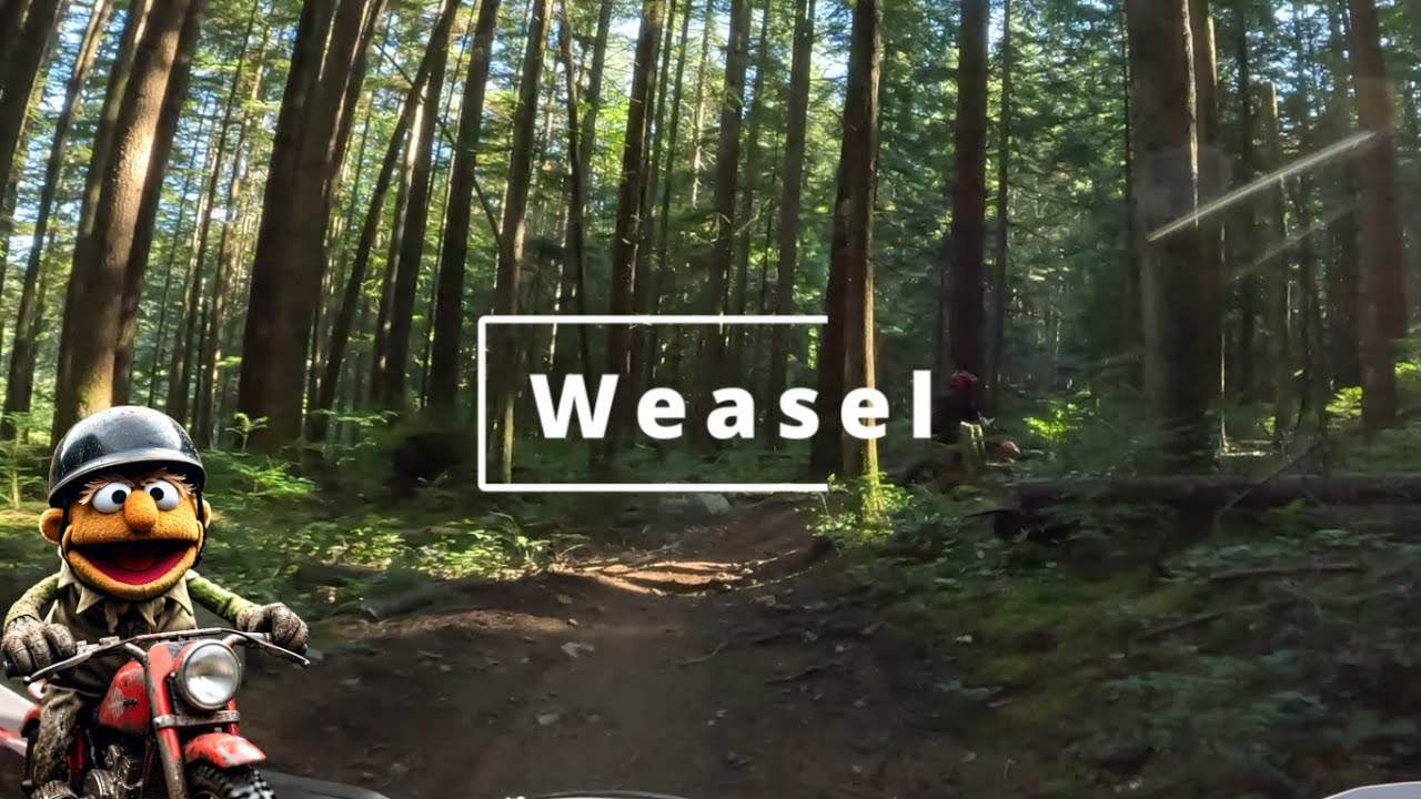 Riding Weasel at Blue Mountain (McNutt) 8.3.2024 - YouTube