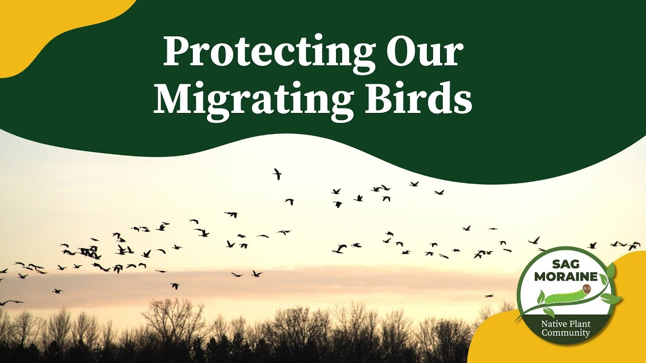 Sag Moraine Presents Adam Kreuzer & Annette Prince - Protecting Our ...