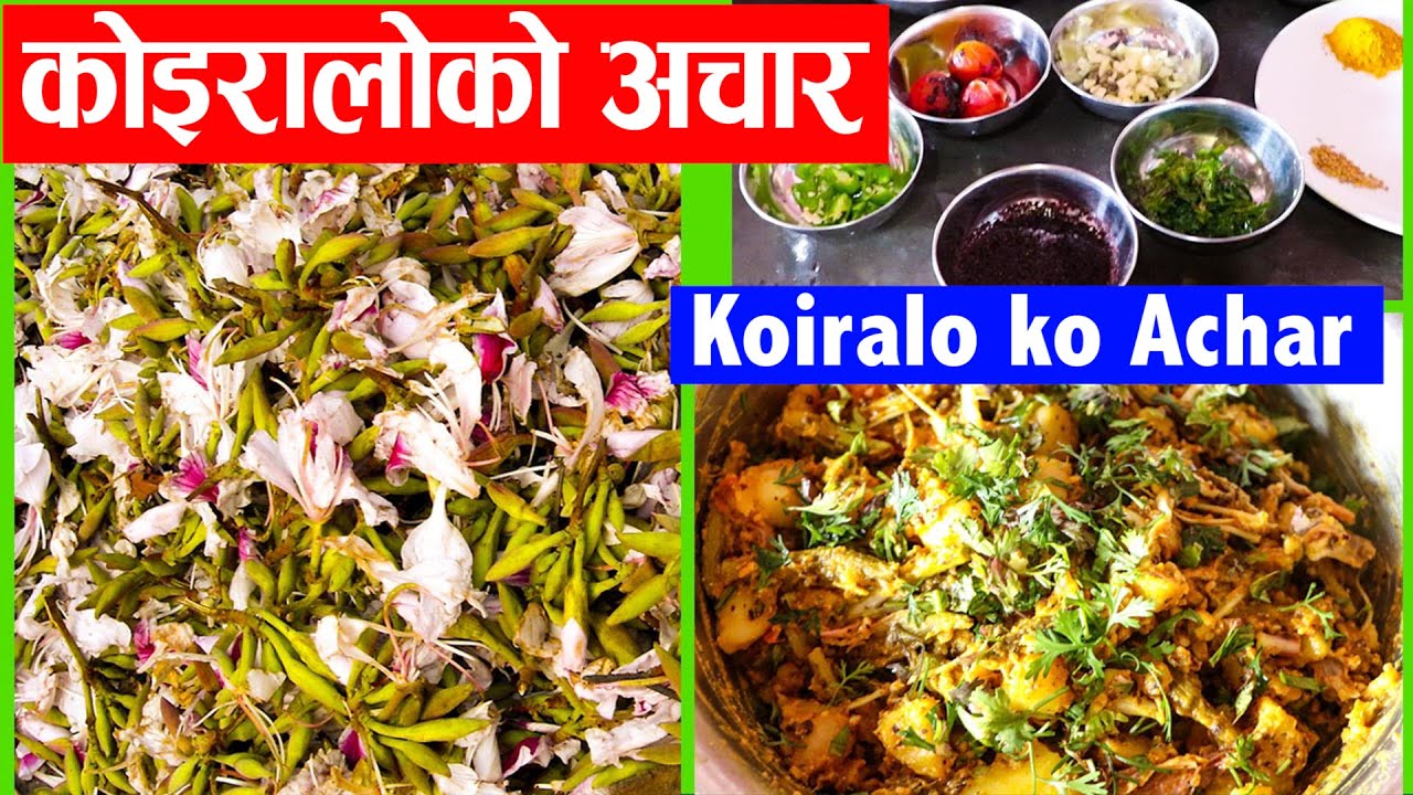 सजिलैसँग घरमै बनाउनुहोस् कोइरालाको अचार | Koiralo Ko Achar | How to ...