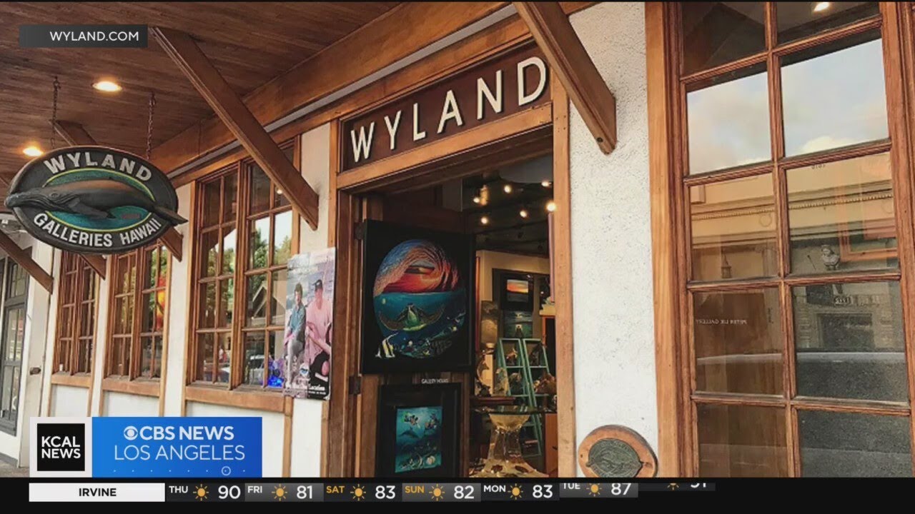 Environmental artist Wyland's gallery amongst hundreds of buildings destroyed by Maui fire - YouTube