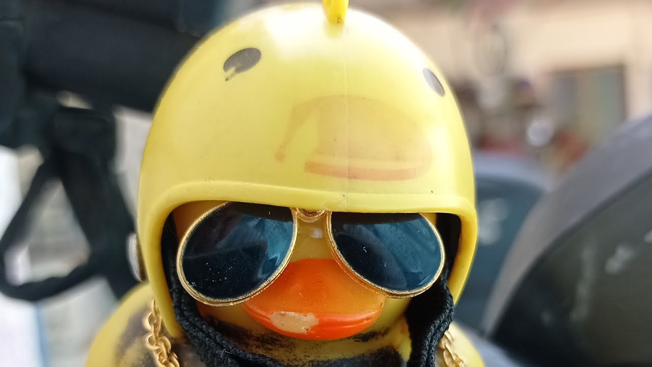 PATITO MAMALON ESTRENA LENTES - YouTube